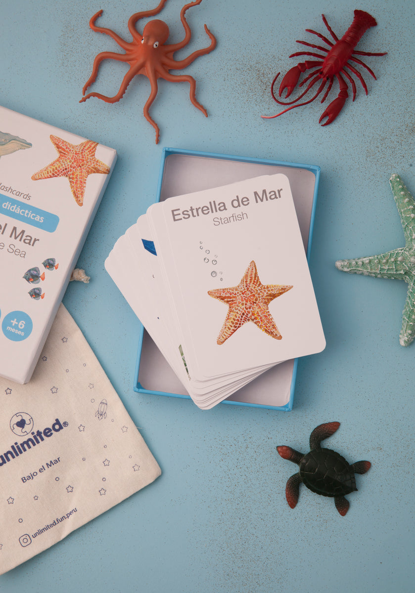 Flashcard El Mar – Juguetería Zig Zag | Juguetes y útiles para niños y ...
